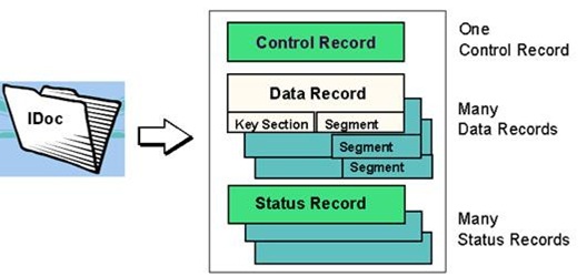 Basics of ABAP: ALE and IDOC's