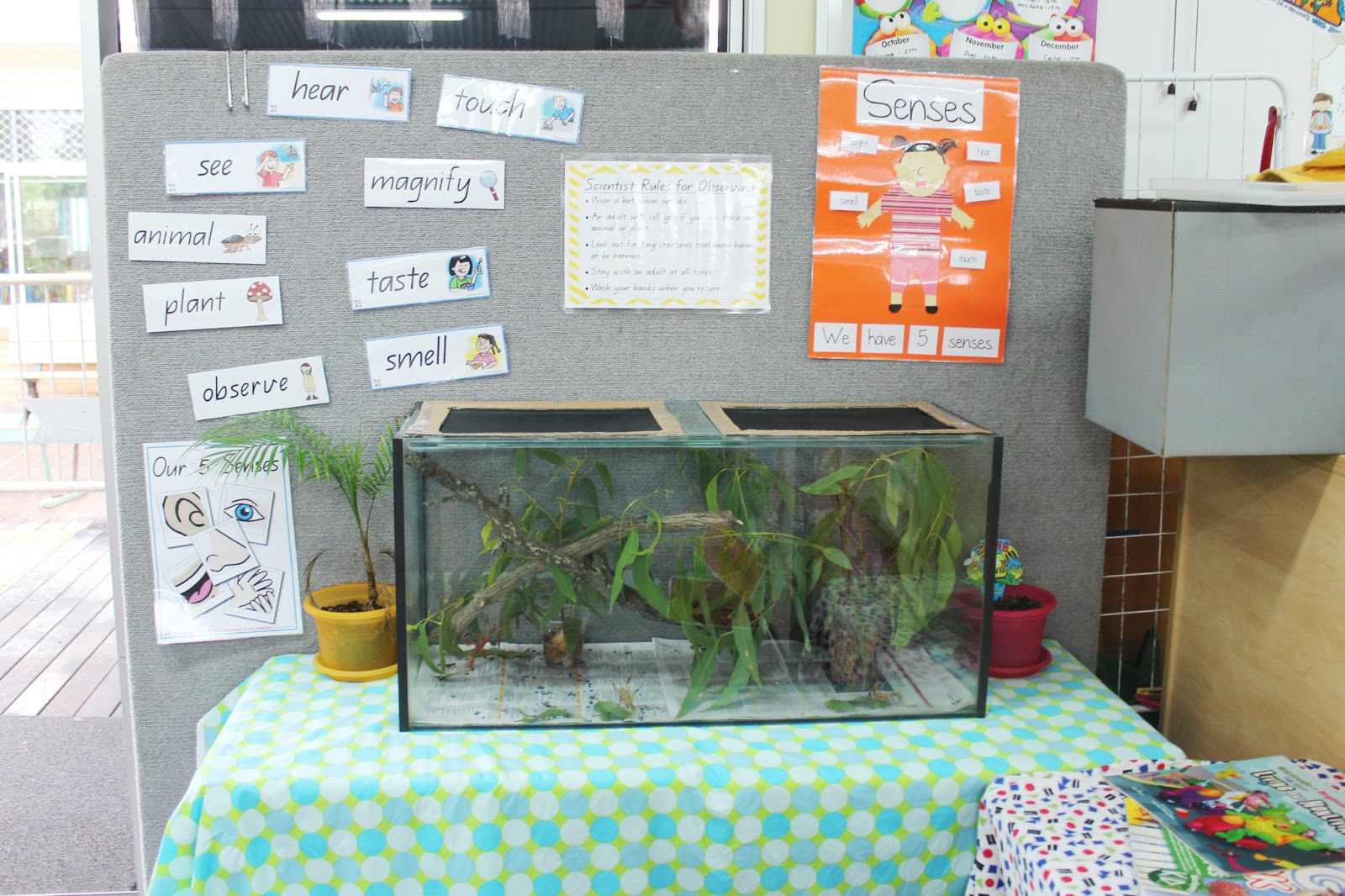 Living Things and Their Needs - Little Lifelong Learners