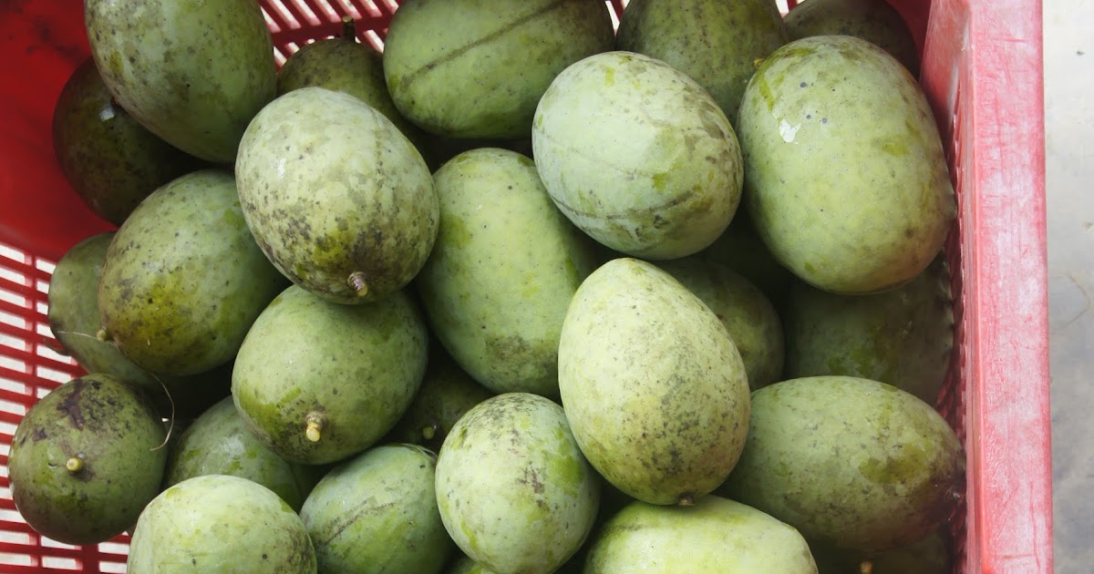 Warisan Petani: Buah Kuini