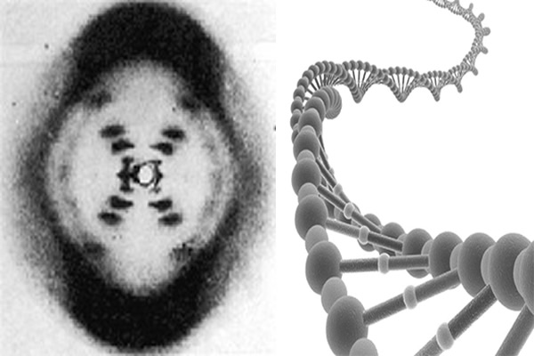 Enroque de ciencia: Rosalind Franklin. La fotografía 51