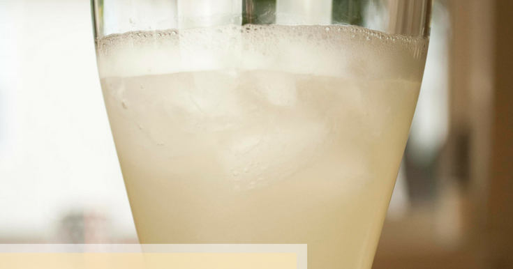 Leeches - A Year of Cocktails