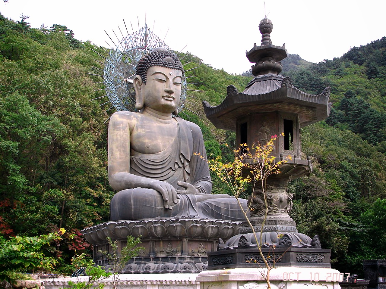 A Historia de Buda - Budha - Buddha - O Iluminado - Biografia - Budismo ...