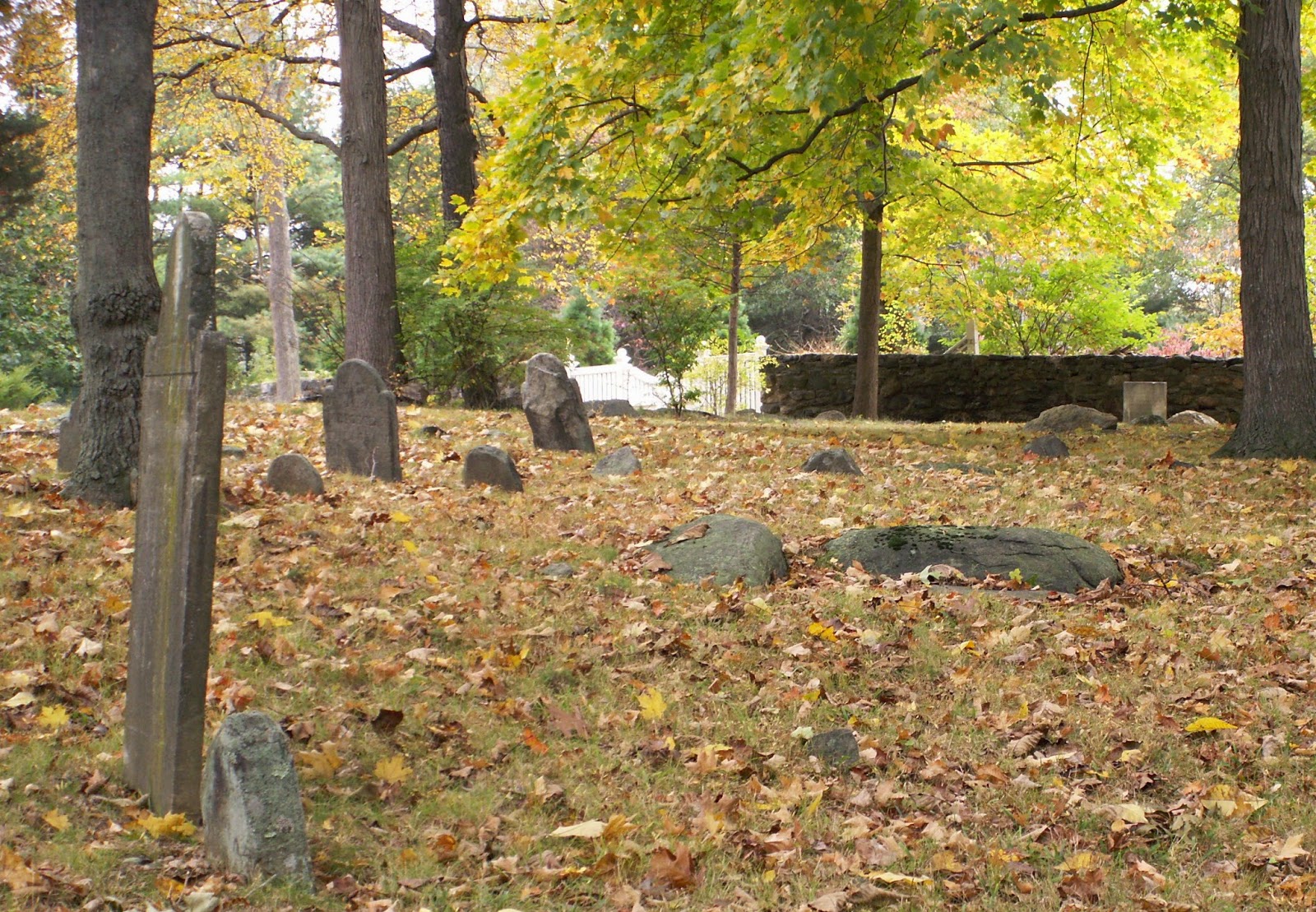 The Writings of Jeffrey Bingham Mead: A Landmark in Round Hill (Burying ...