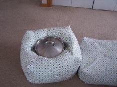 Today While The Sun Shines: Alternate Cooking Sources