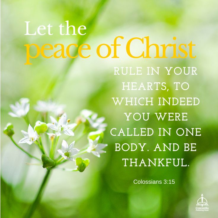 Living for God: Let the Peace of Christ Rule in Your Hearts