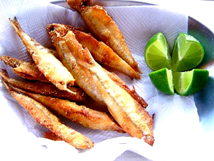 Flavors of Brazil: FISH OF BRAZIL - Manjuba (Broadband Anchovy)