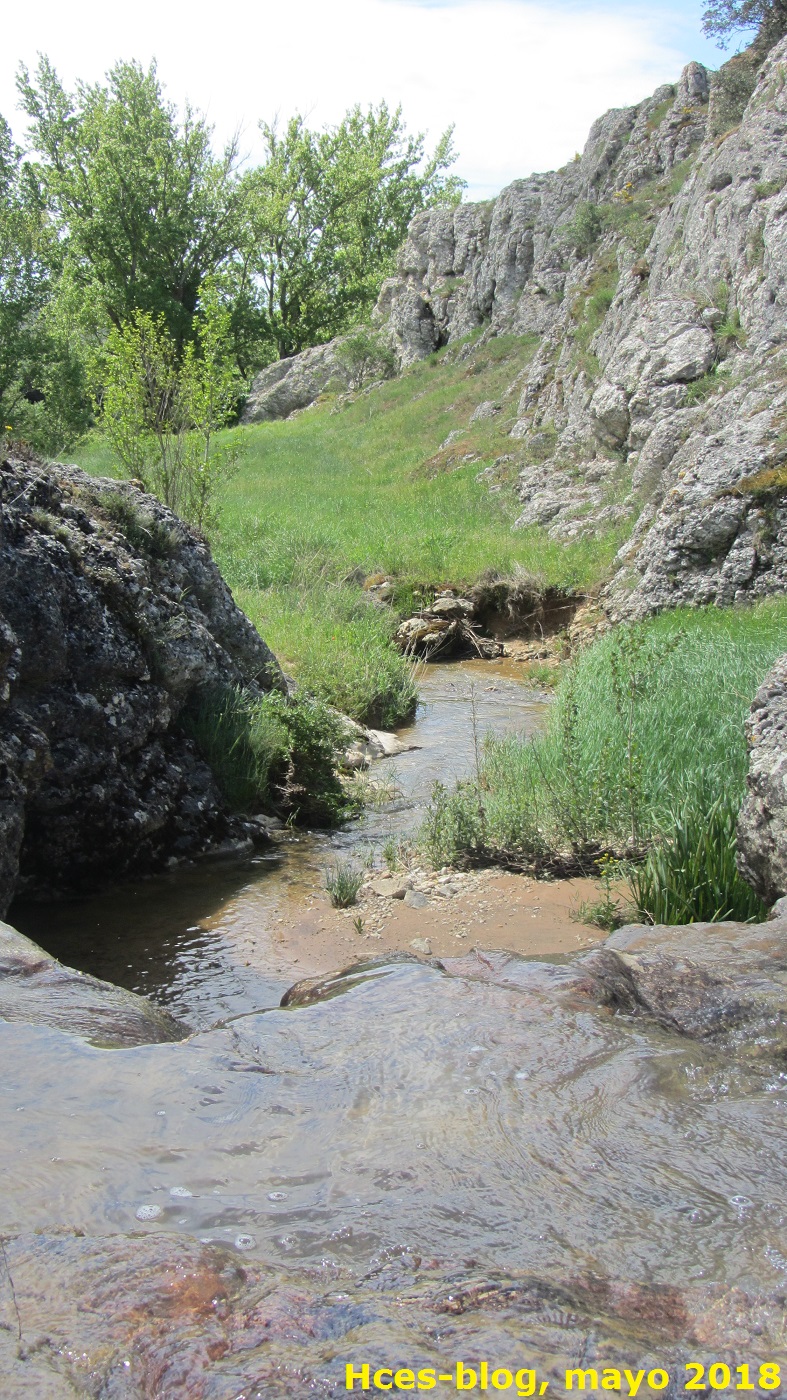 Huérmeces (Burgos): El río Brullés: de Fuencivil a Villasandino