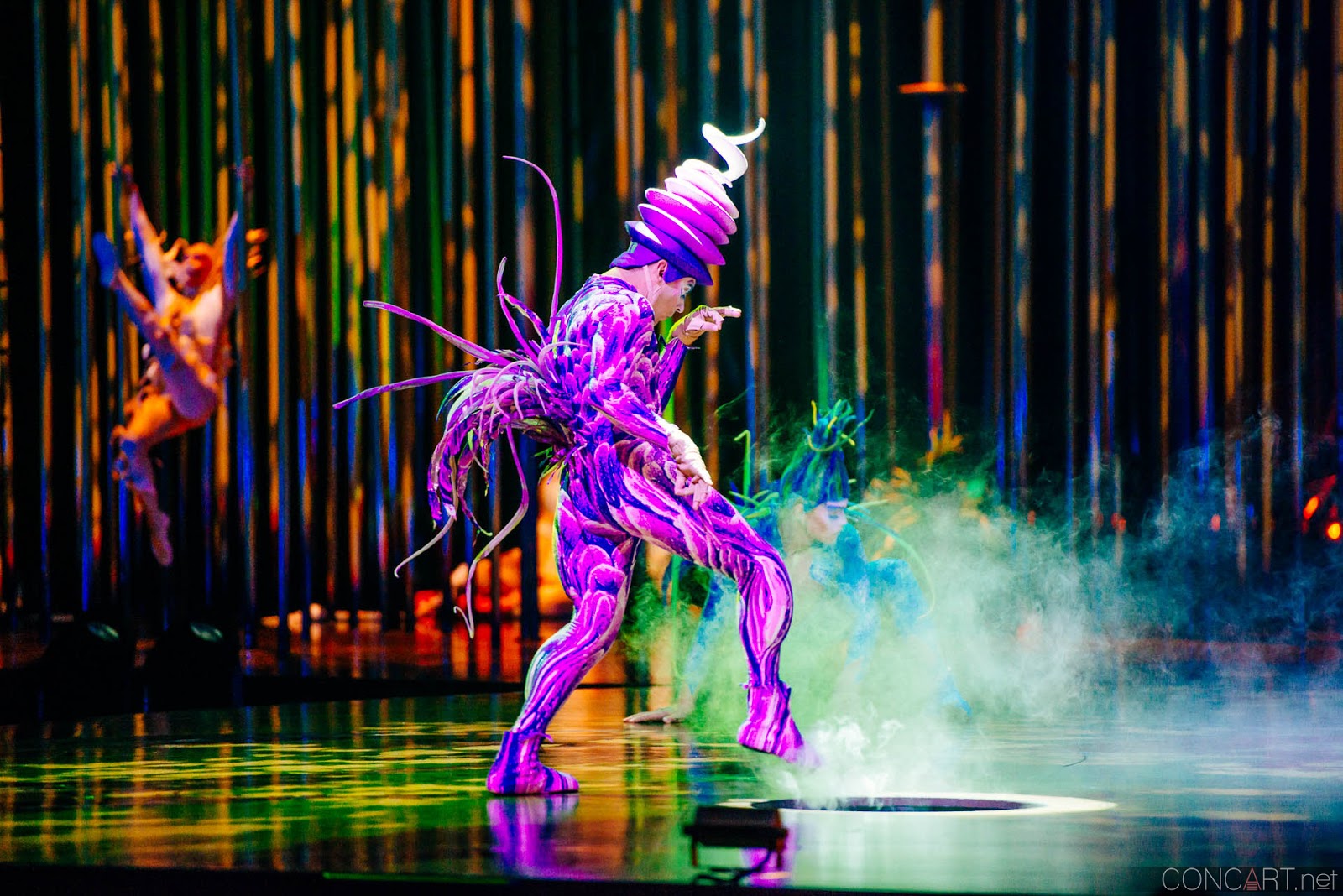 It's A Circus (Circo, Cirque du Soleil) – Moving with Mitchell