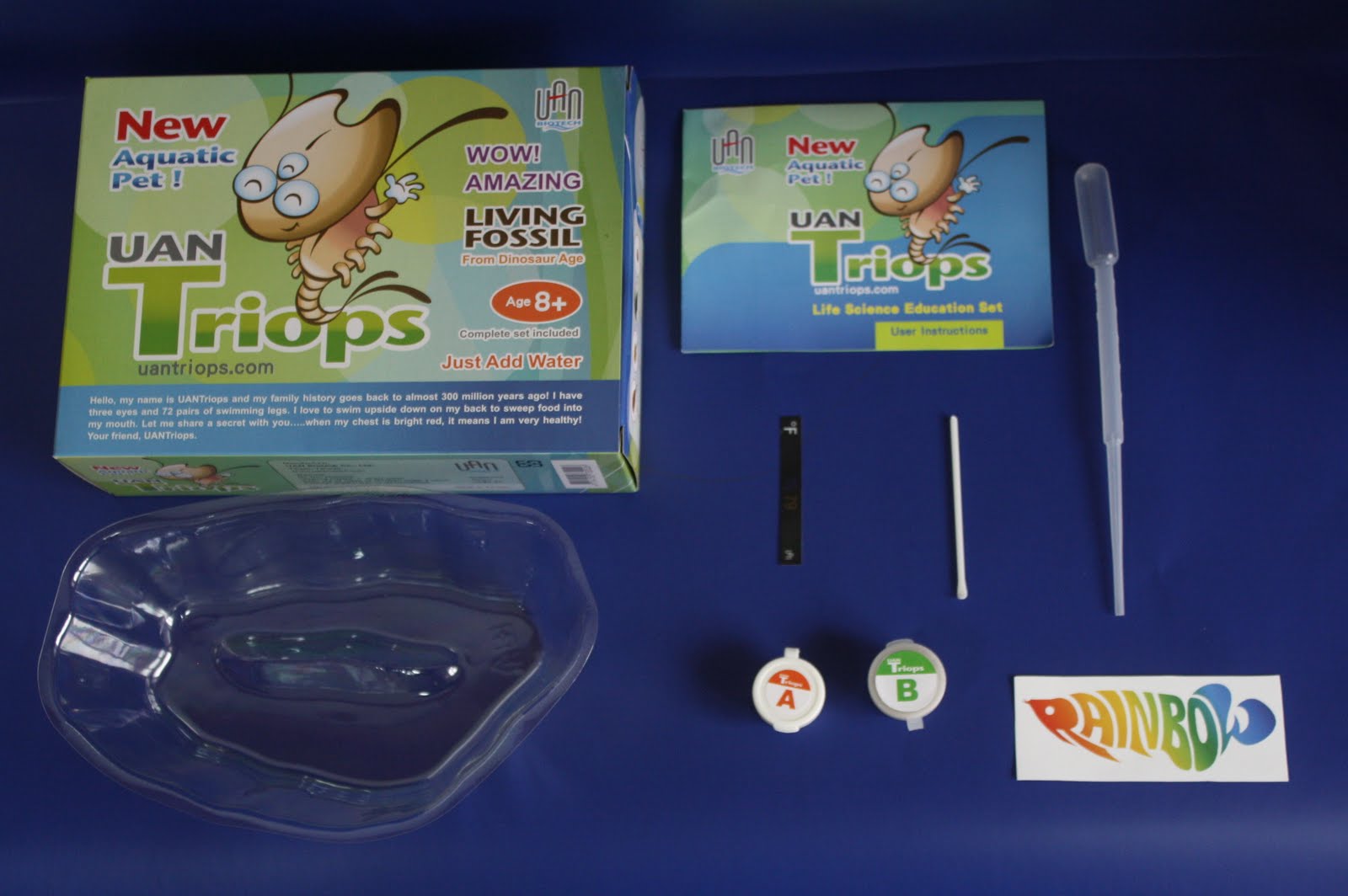 Rainbowaq Triops: Live Breeding!