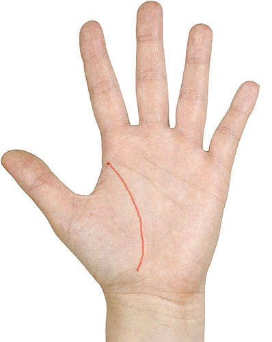 Palmistry: Palmistry lines - Life line
