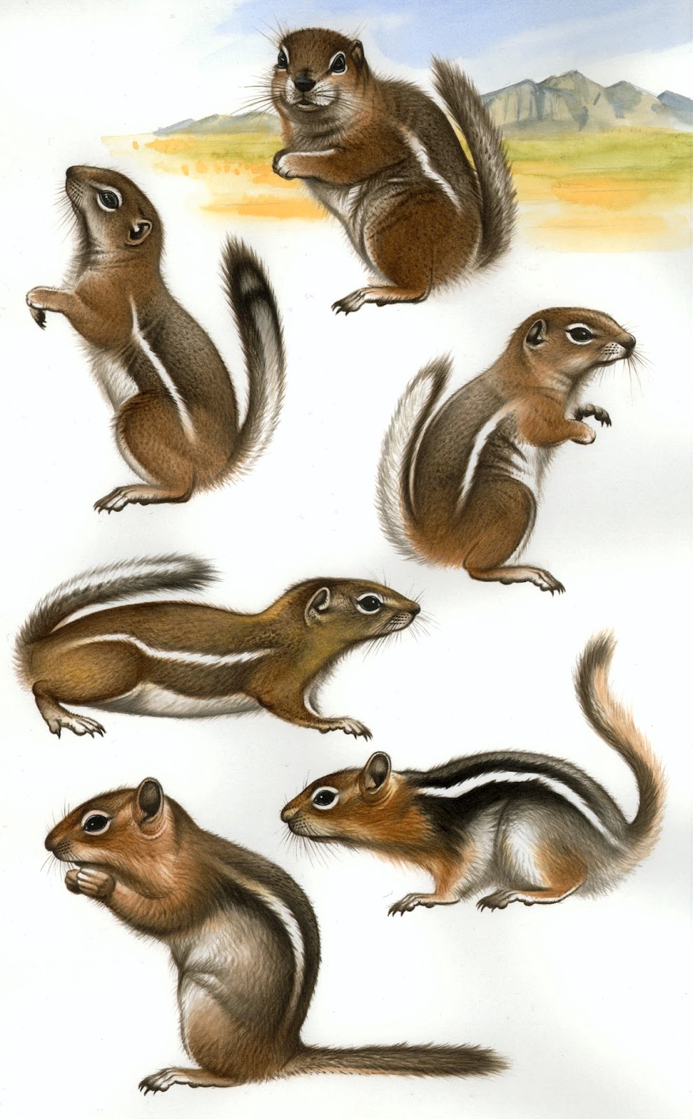 todd zalewski: paintings and drawings