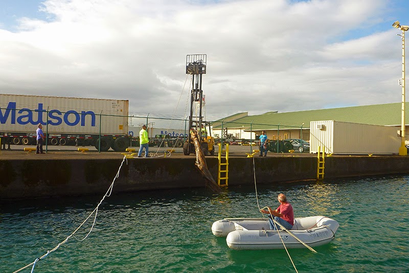 The Adventures of S/V Silhouette: Anchorage Report on Radio Bay