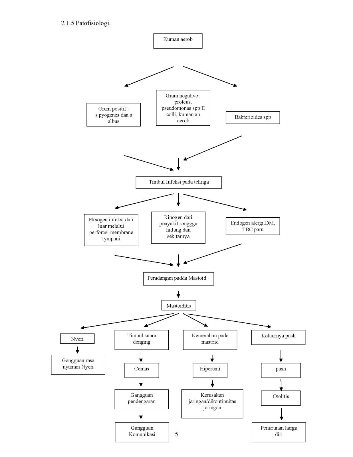 Askep Pada pasien Dengan Mastoiditis | Link Kesehatan