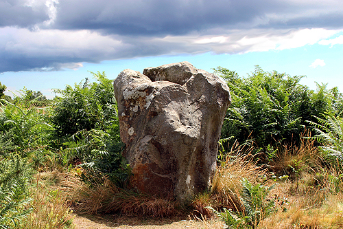 Paintwalk : The Devil Stone Bere Regis Dorset Megalith