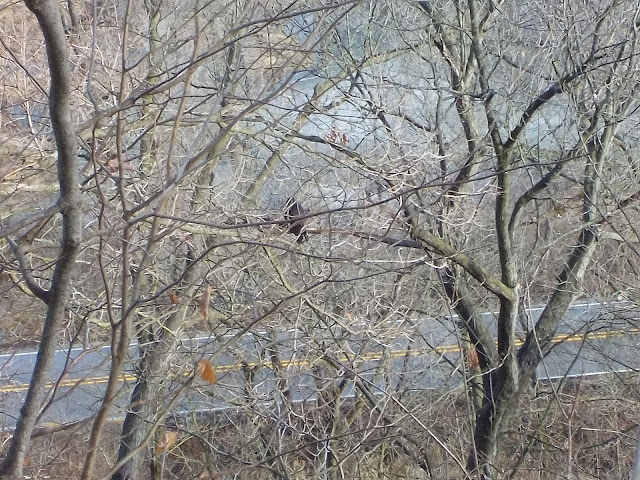 Hike Starved Rock: St. Louis, Kickapoo, Sac and Aurora Canyons March 14 ...