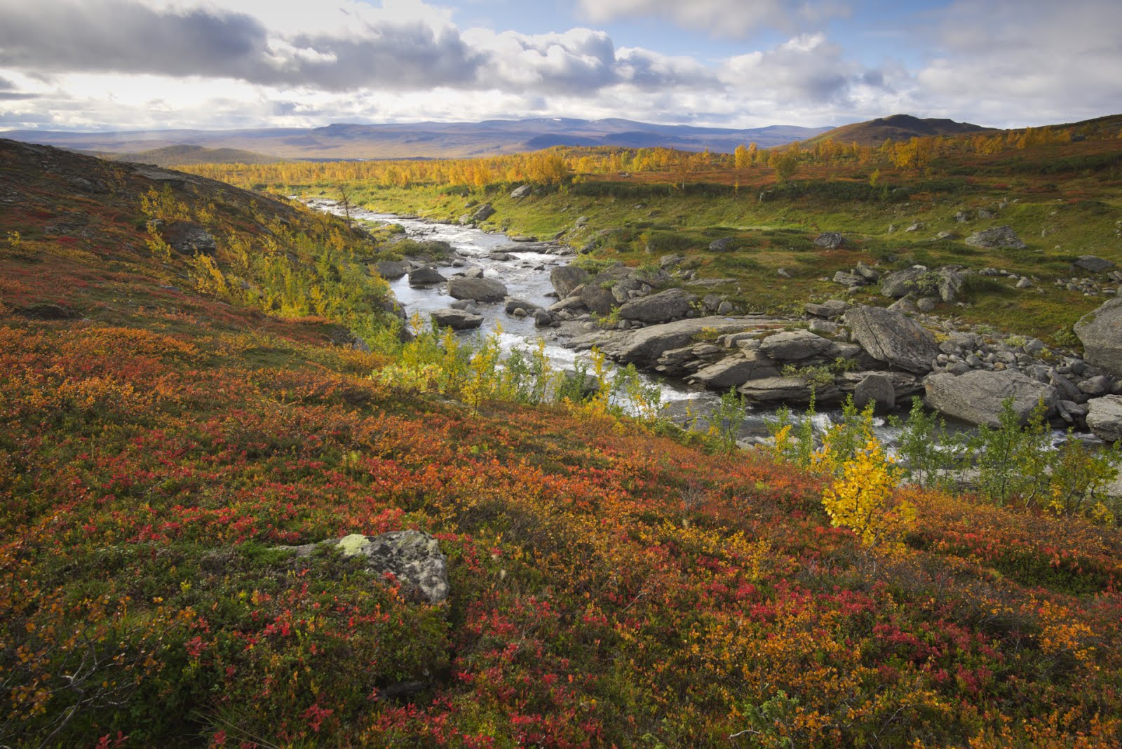 Arctic autumn in the mountains of Sarek national park