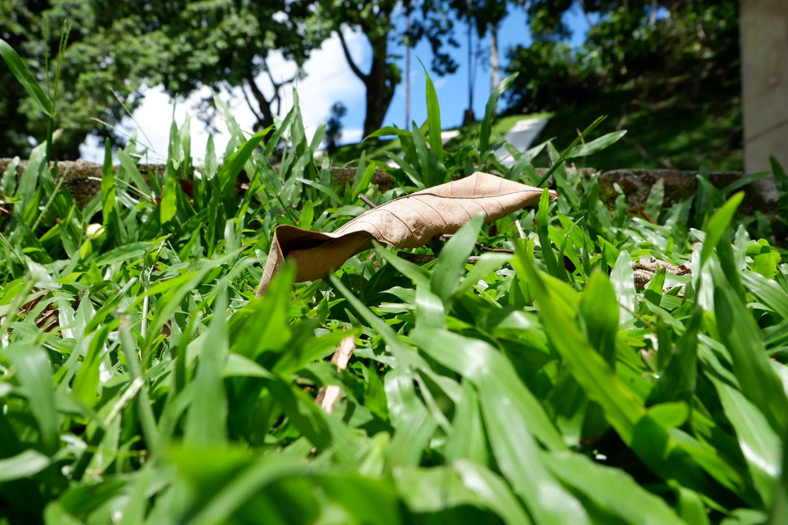 FOTOGRAFI: 5 Angle Fotografi yang mudah dipelajari bagi pemula