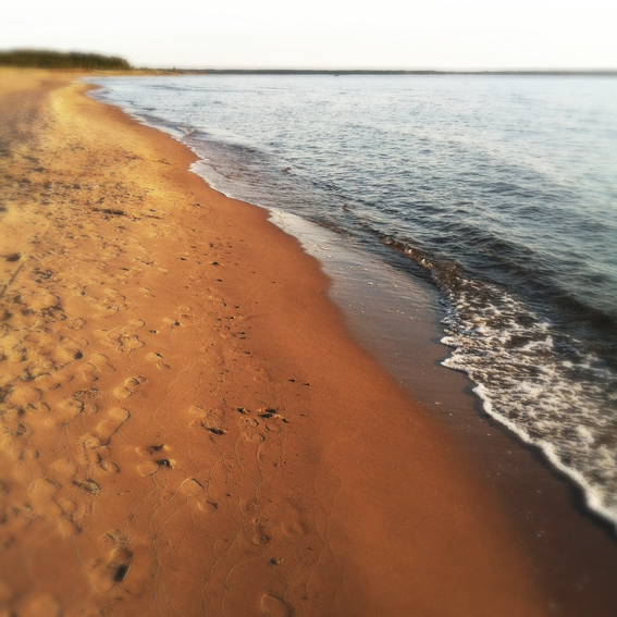 Hullaannu ja hurmaannu: Rannalla ja pian jo Reykjavikissä