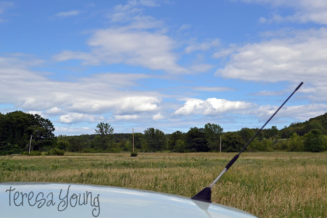 The Adventures of Teresa and Luna: Chateau Hutter