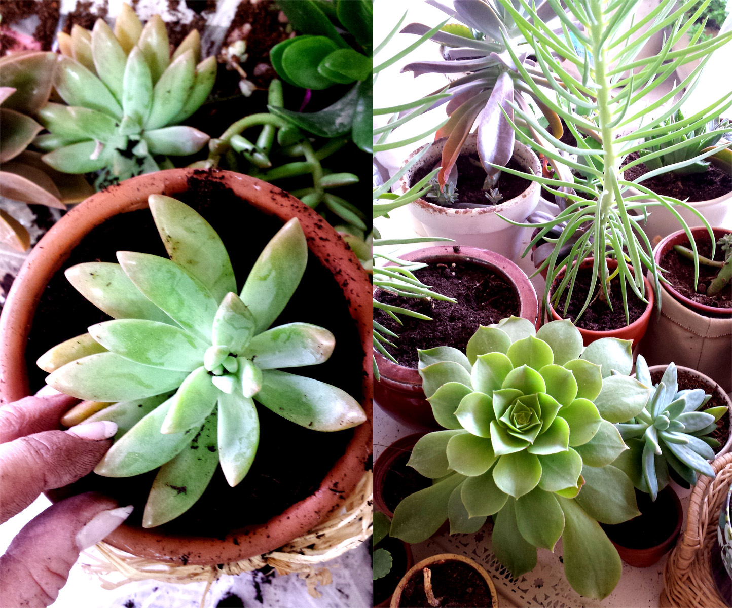 בית עם סגנון: אני, אני ואני.... קורס חדש שכולו שמחה, אושר ואהבה עצמית