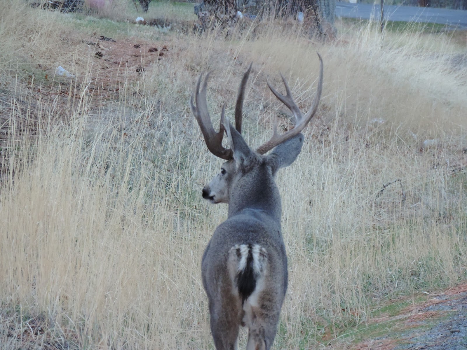 Hunts 4 Two | One Couple's Adventure Journal: Love is in the Air! Big ...