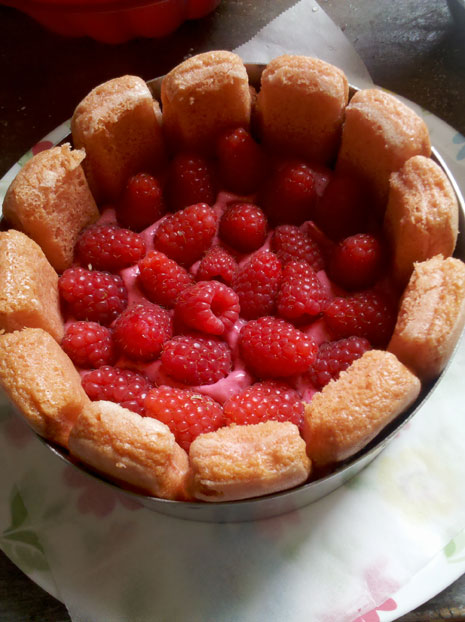 flo et mimolette: CHARLOTTE aux FRUITS ROUGES