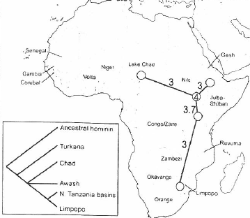 Paleoantropología hoy: El género Australopithecus