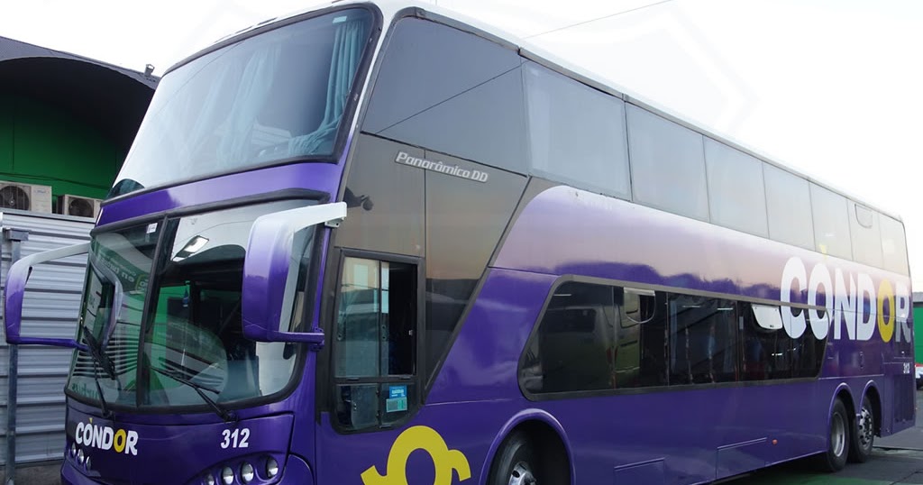 Buses en Chile | Juan Guillermo Pacheco S.: Condor | N° 312.-