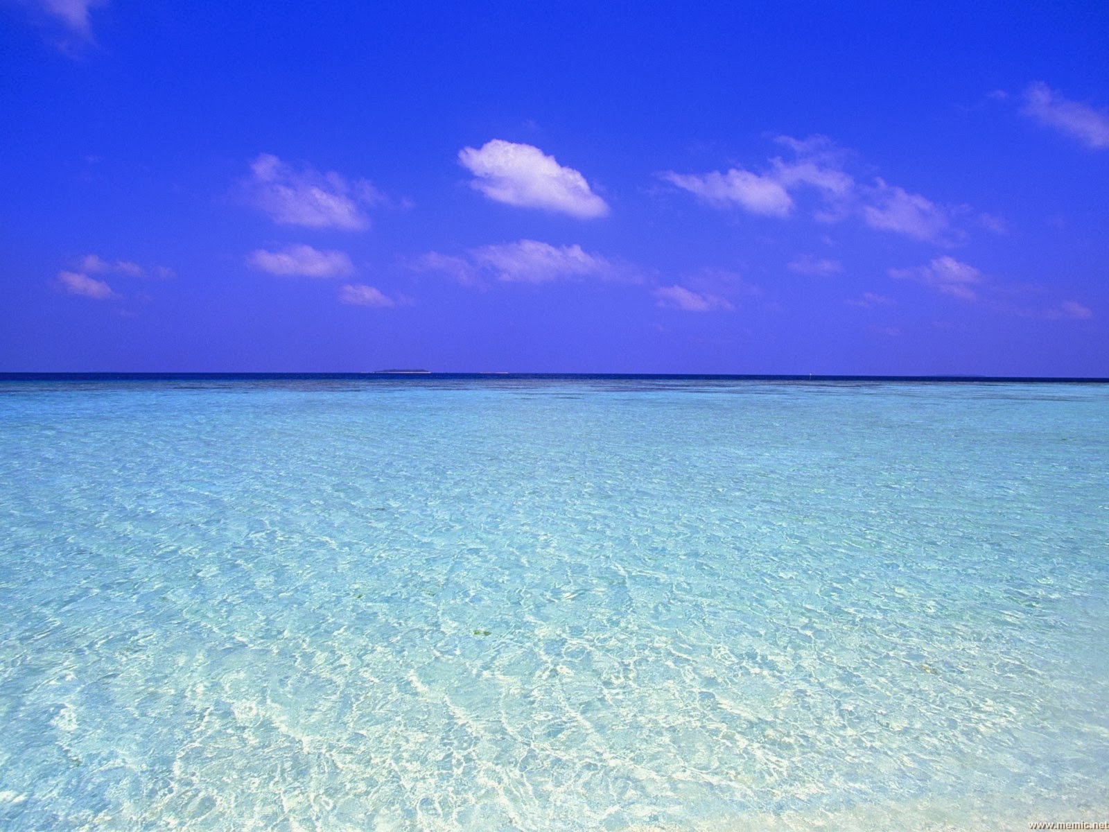 NewMediARTscuola-blog: Internet è come il mare