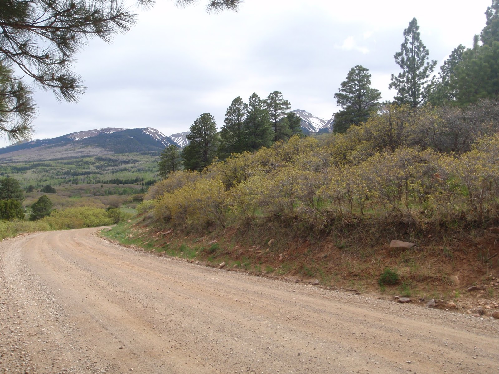 Zips Spot: A Grand-er Loop