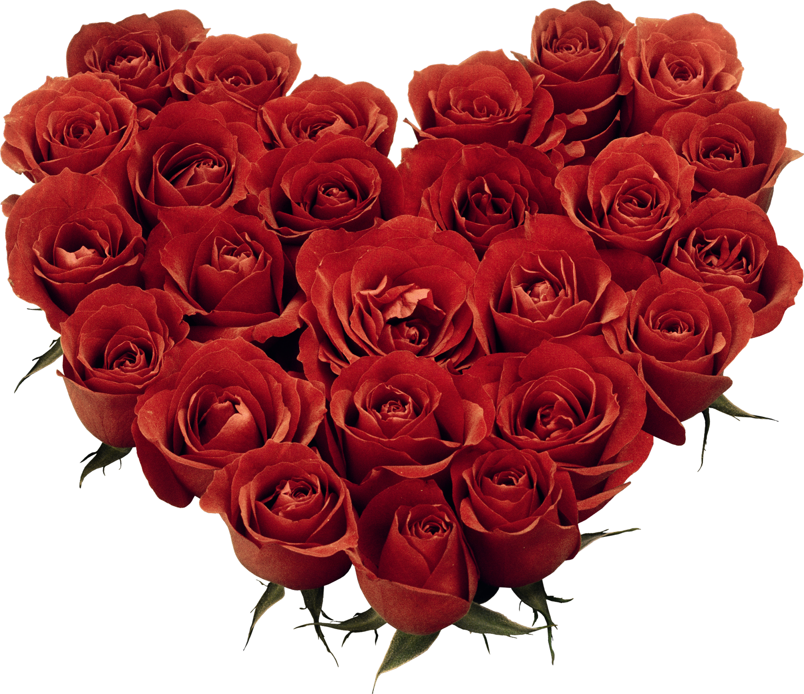 Corazón de rosas rojas para compartir | wallpaper hd of nature