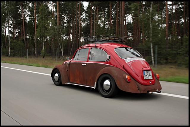 Ctba boxer- Rust Cuture: the Rusty Bug