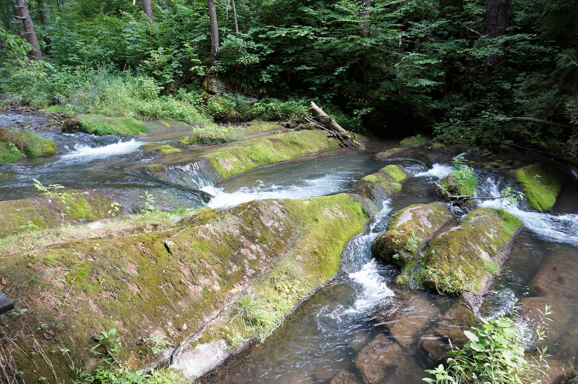 The Curious Lark: Garth Newel :: Waterfall Wanderings