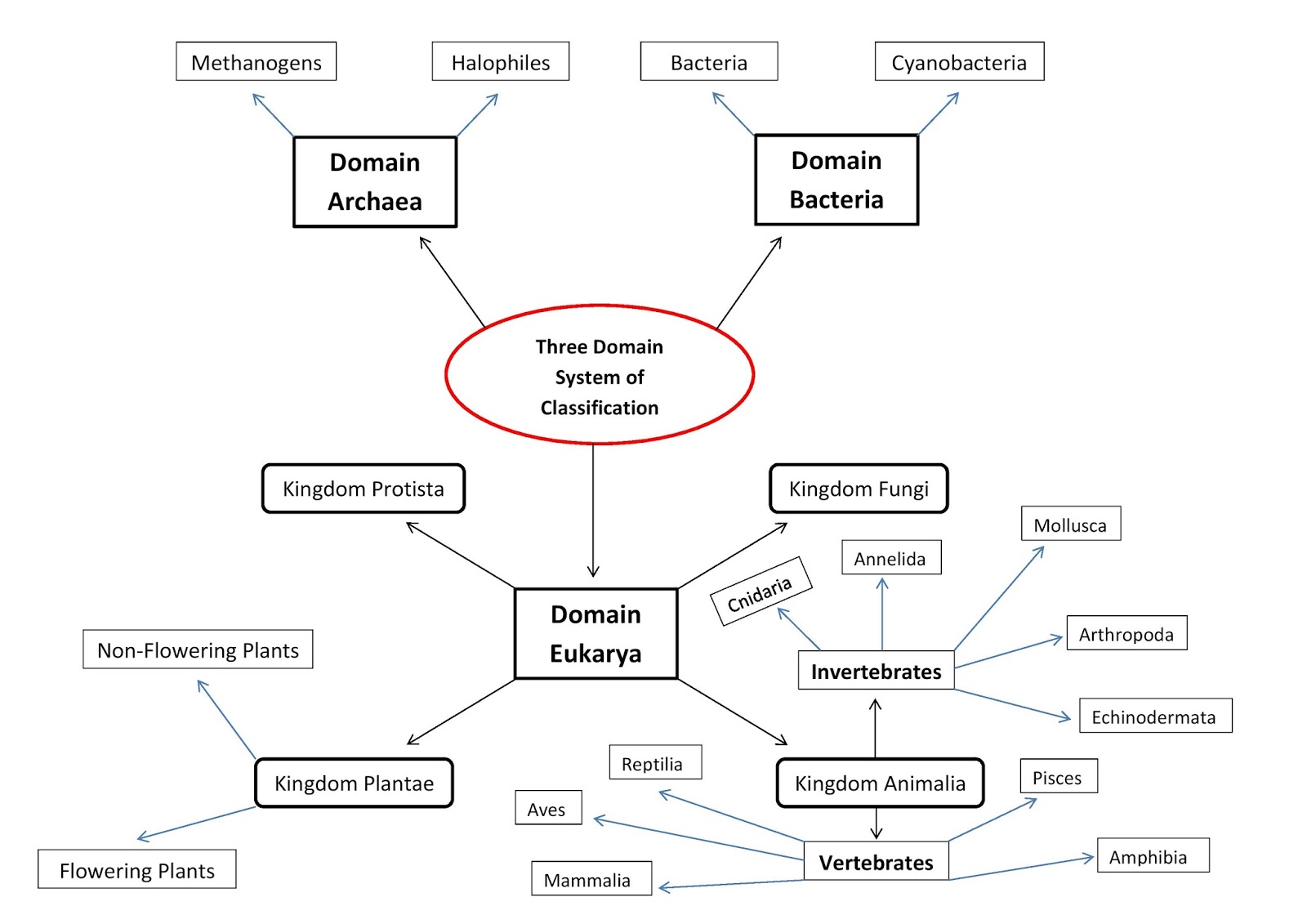 Nisal Anjula Blogs: Concept map of the Three Domain System Of ...