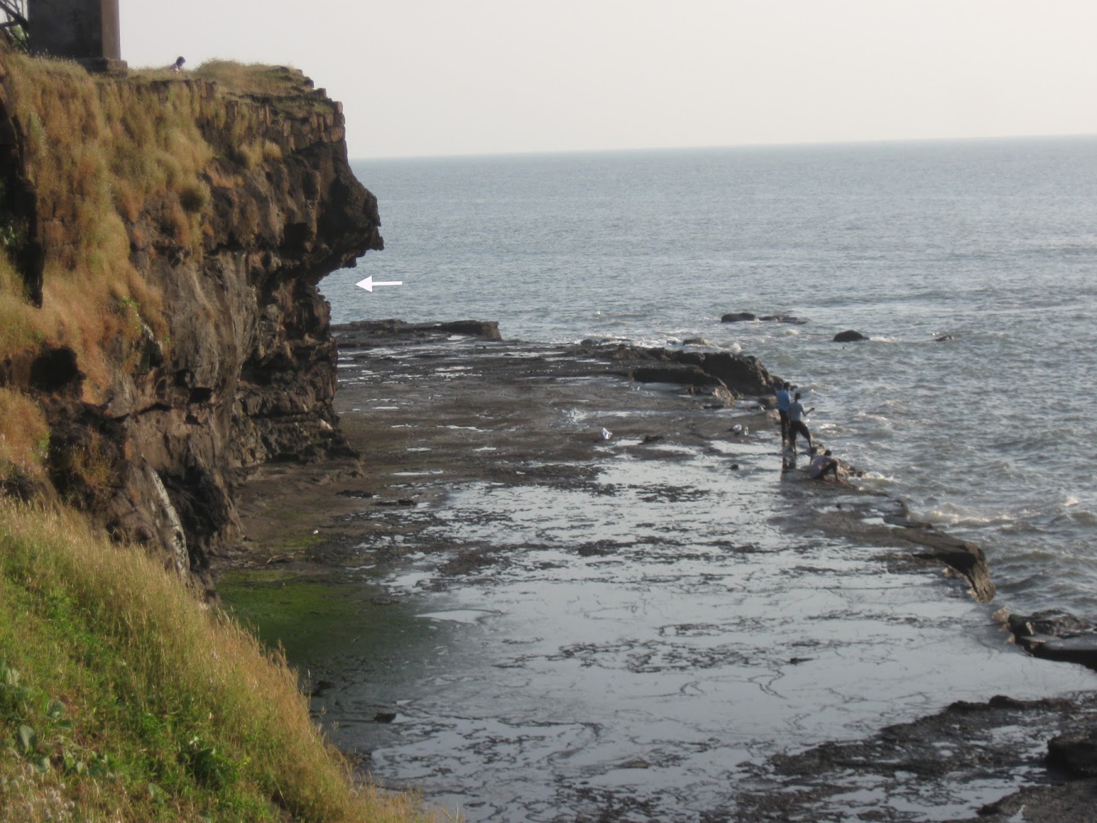 Rapid Uplift: Field Photo: Sea Cliffs And Holocene Sea Level Highstand ...
