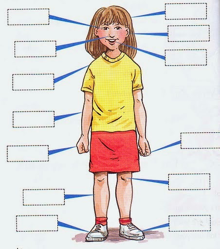 Teaching body parts: Let`s Practice