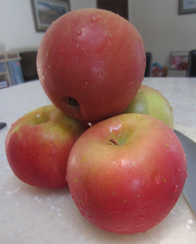 Little Mommy, Big Appetite: Skinny Mini Bite-Sized Apple Pies