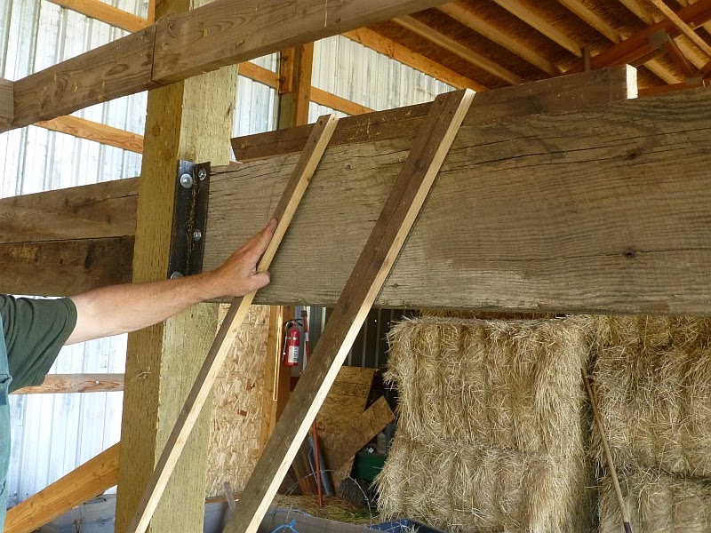 Rural Revolution: Building feed boxes