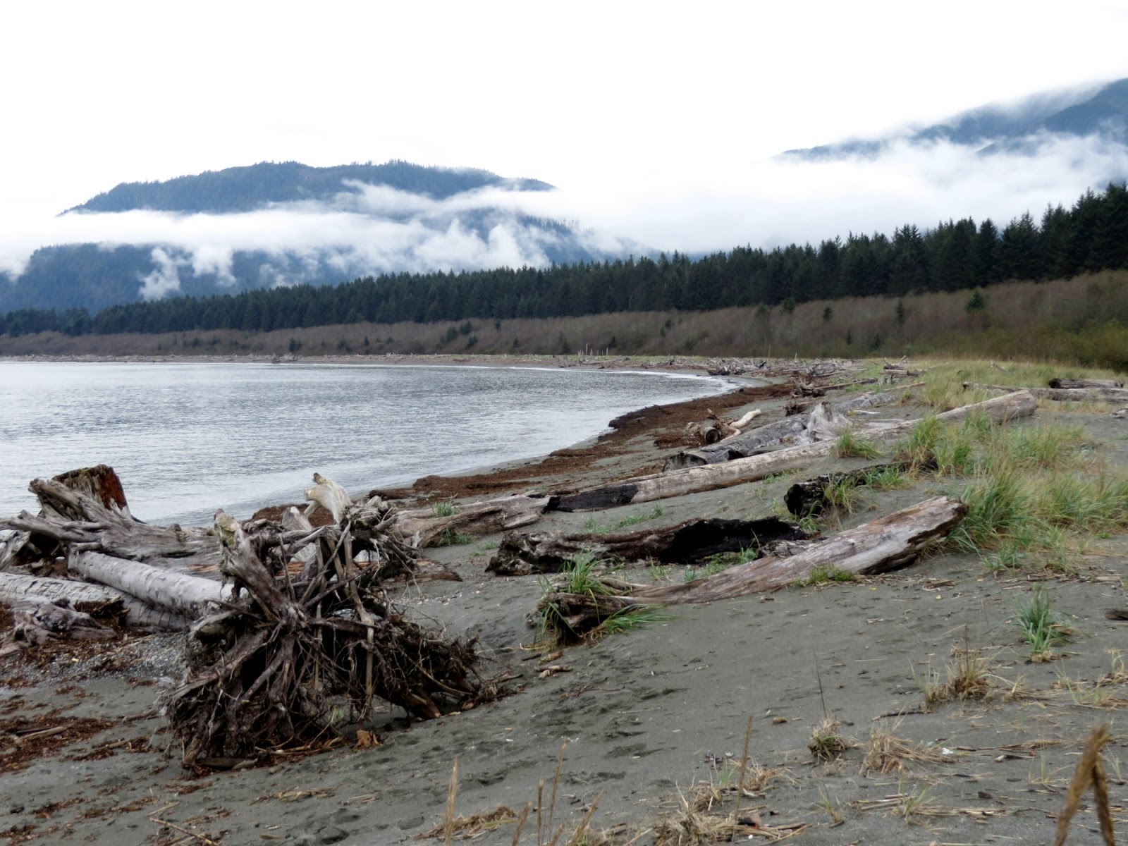Gravel Beach: Pacheedaht Beach