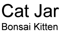 Bonsai Kitten - Cat Jar