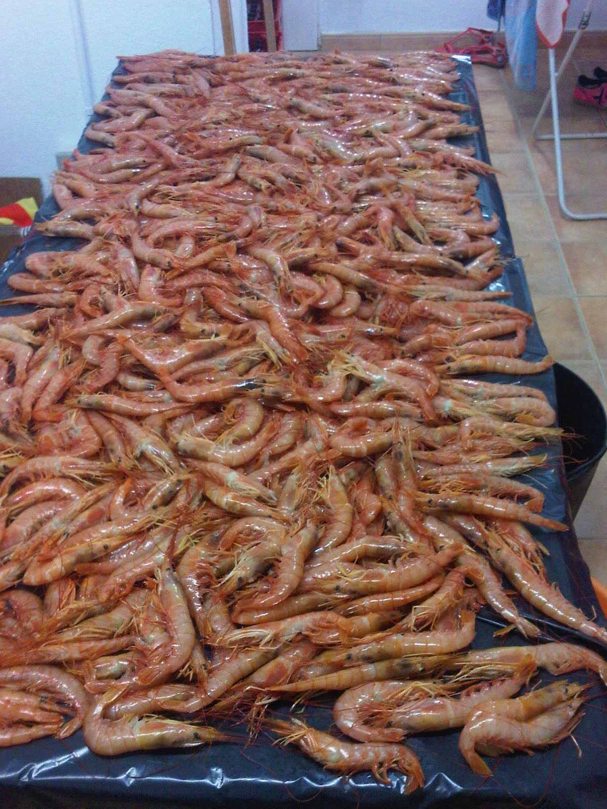 FULLEDA - PETI QUI PETI: GAMBADA FULLEDENCA!!!!