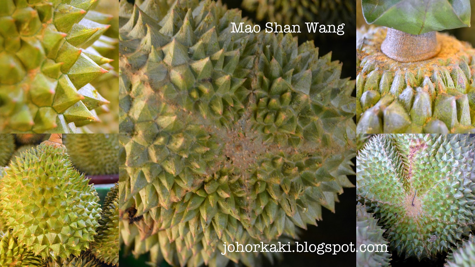5 Tips on How to Spot a Real Mao Shan Wang MSW Musang King Durian 猫山王 ...