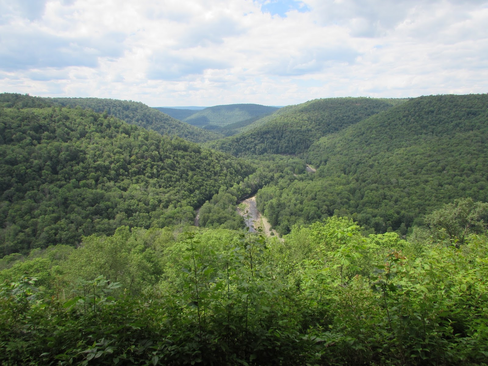 Worlds End State Park: Canyon Vista, Forksville Covered Bridge ...