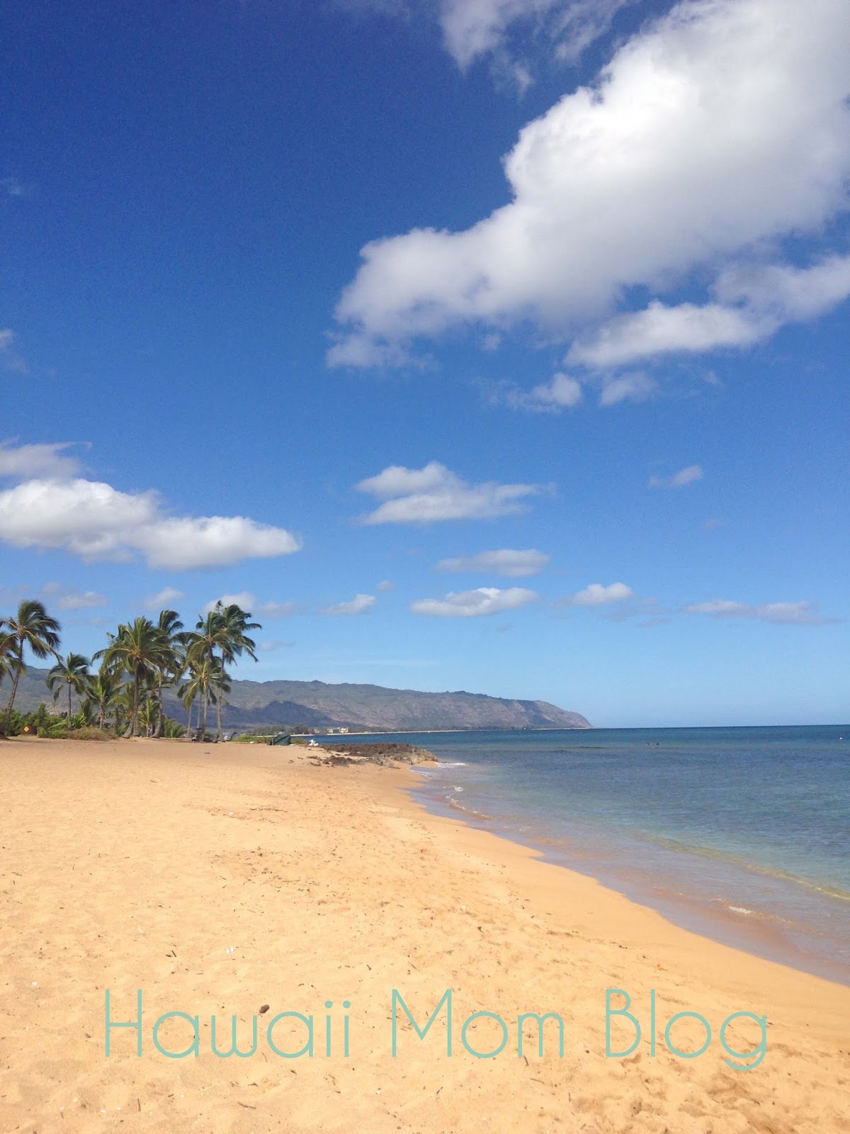 Hawaii Mom Blog: Haleiwa Ali`i Beach Park