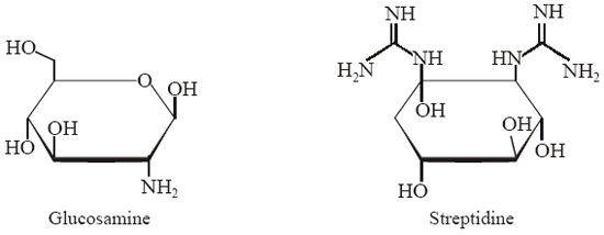 Aminoglycosides ~ Pharmacognosy | Plants | Herbal | Herb