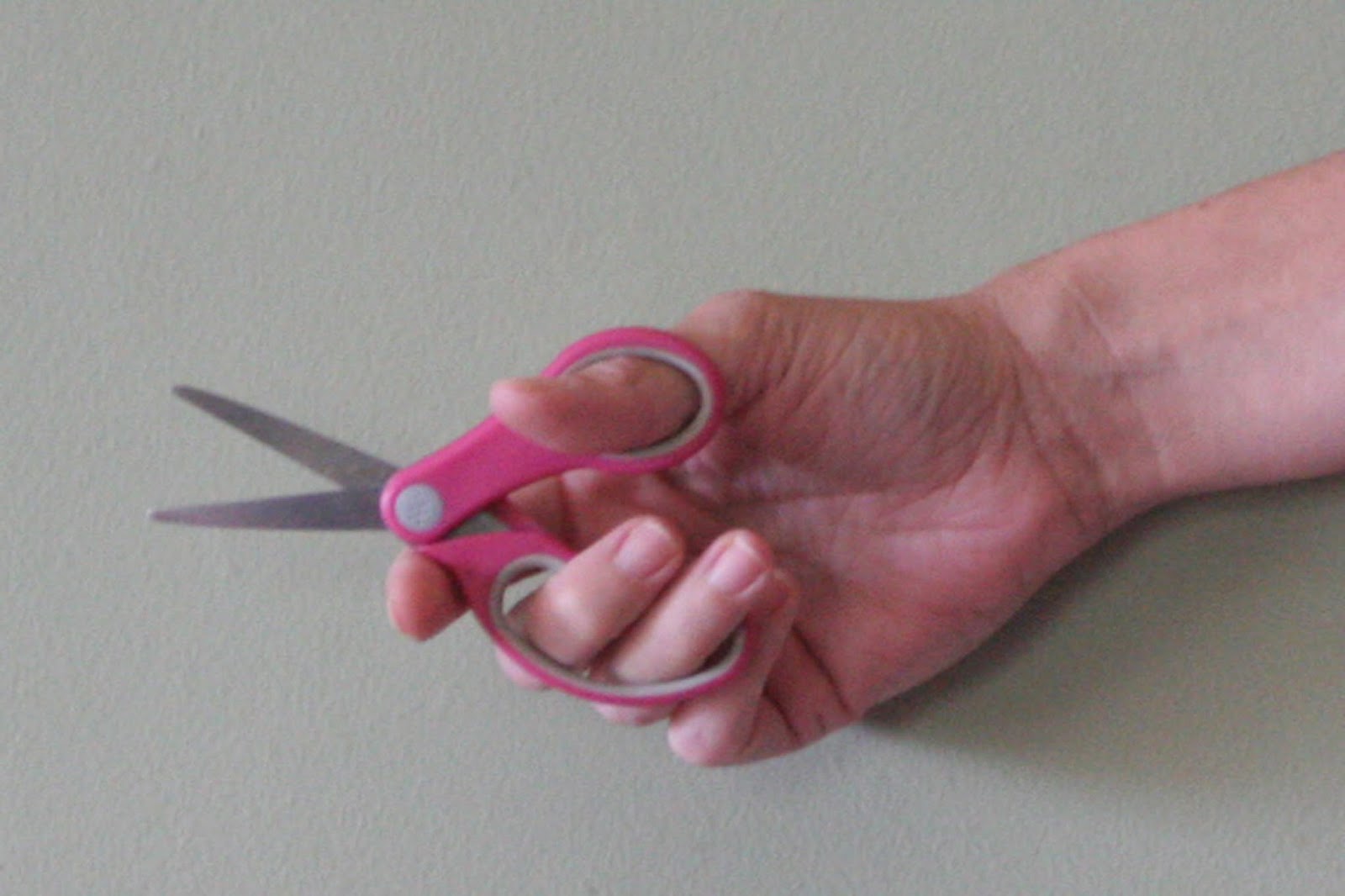 A Fly on Our (Chicken Coop) Wall: A Redneck, Fake Farmer's Guide to ...