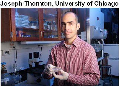 Sandwalk: Historical contingency and the evolution of the ...