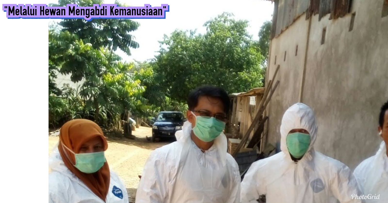 Penyakit ASF dan Upaya Pencegahannya di Kabupaten Bintan - Blog Pribadi