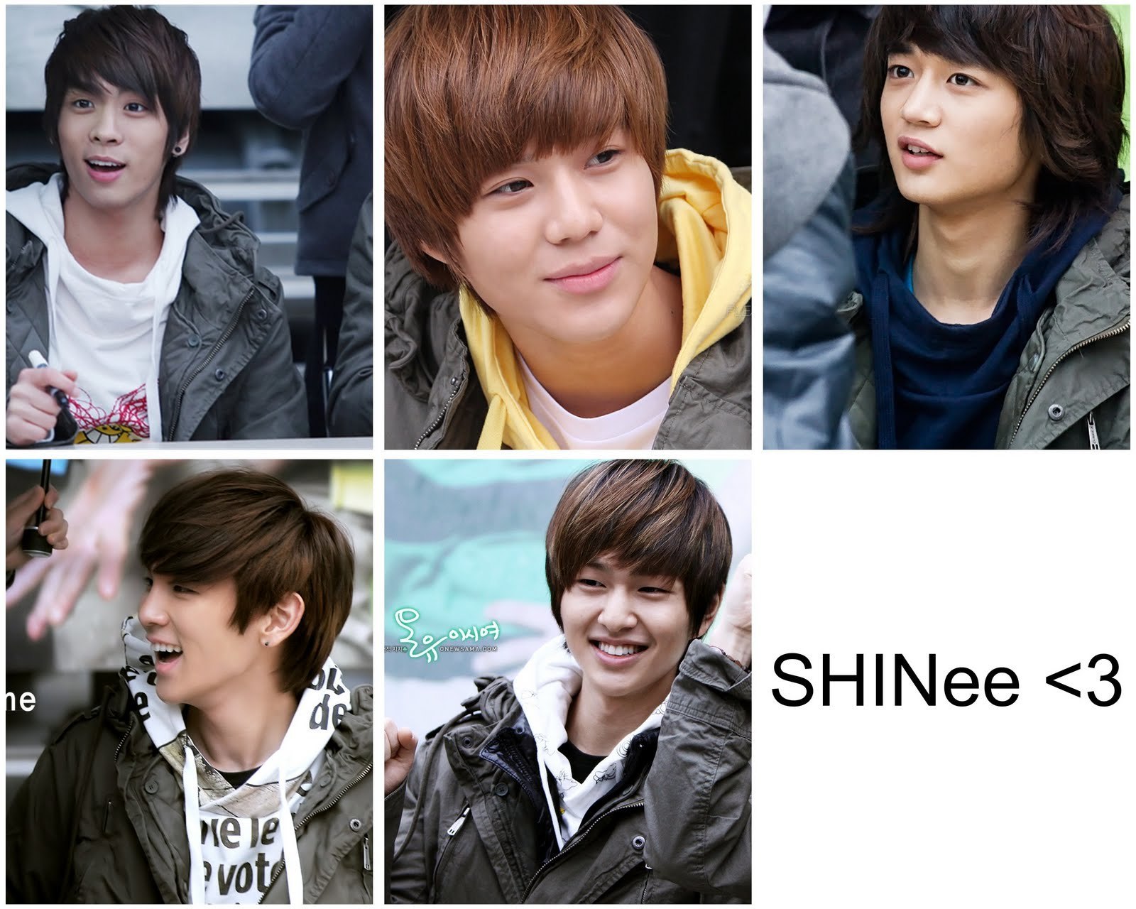 FANS KOREAN MUSIC AWARDS 2013: SHINEE