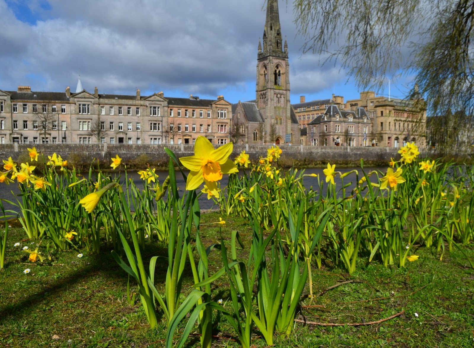 Tour Scotland: Tour Scotland Photographs Video Daffodils River Tay ...